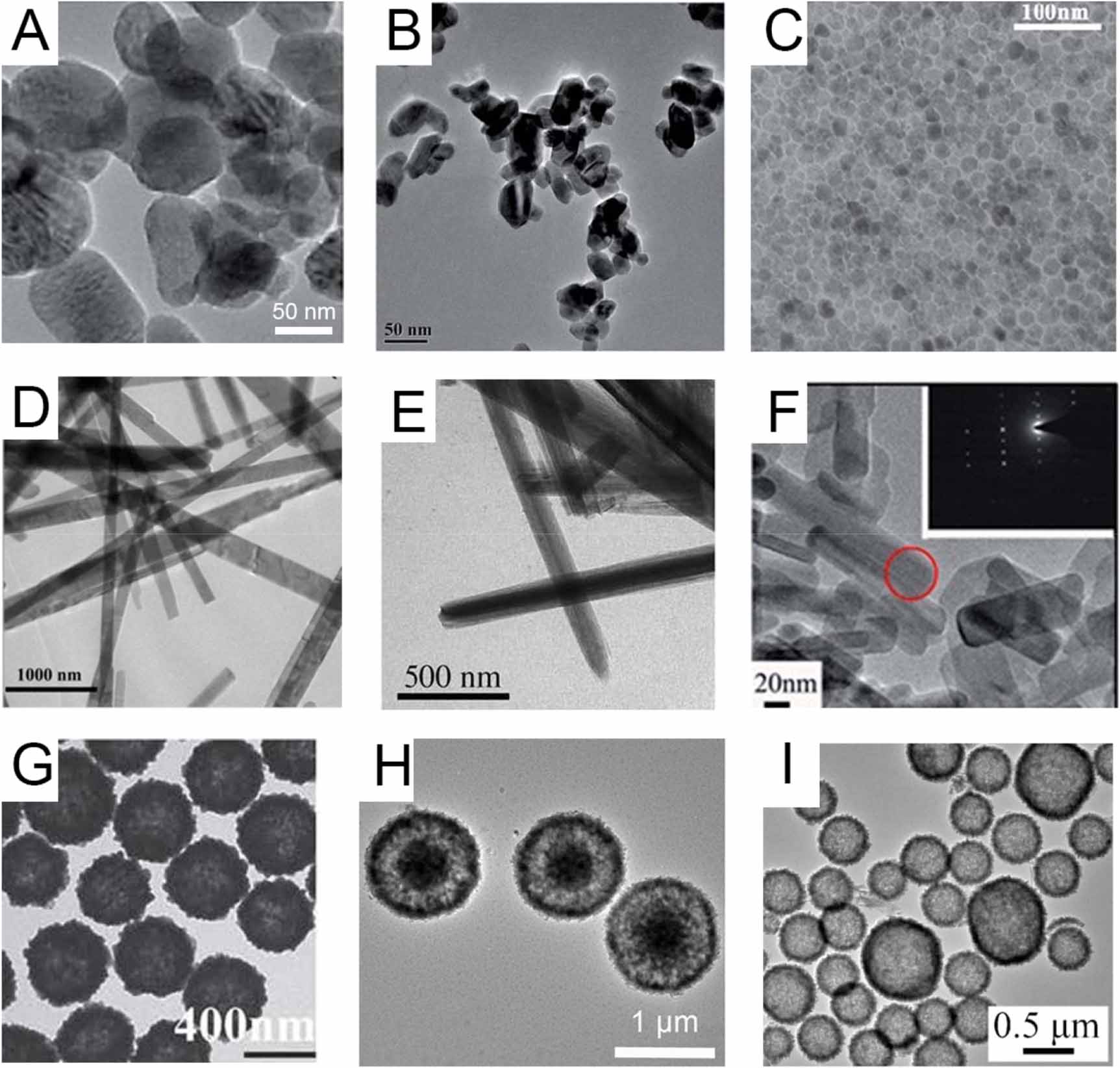 Vanadium-based nanomaterials for cancer diagnosis and treatment ...