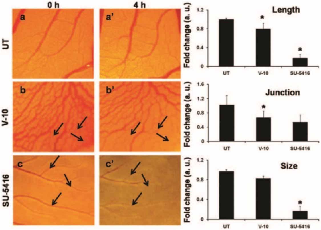 Vanadium-based nanomaterials for cancer diagnosis and treatment ...