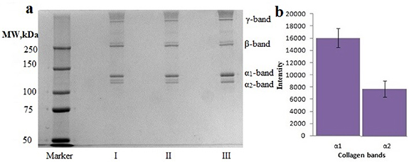 An in vitro 3D diabetic human skin model from diabetic primary cells ...
