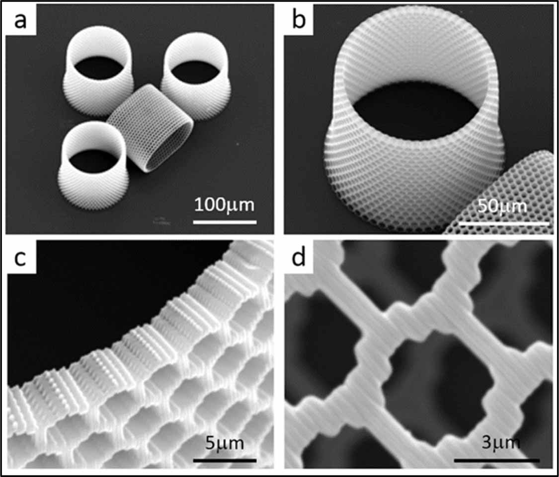 Three-dimensionally two-photon lithography realized vascular grafts ...