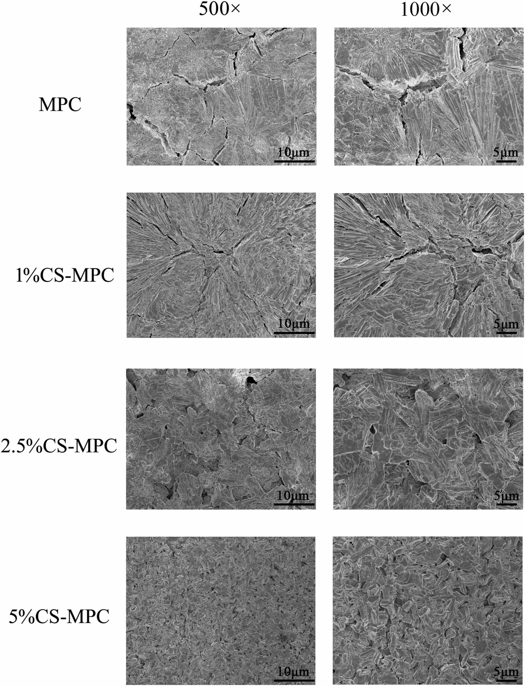 A bioactive magnesium phosphate cement incorporating chondroitin ...