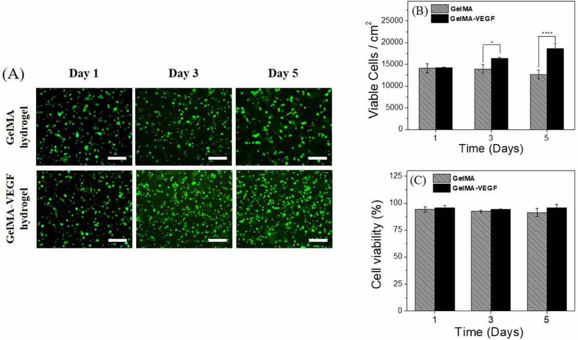 Enhanced wound healing using a 3D printed VEGF-mimicking peptide ...