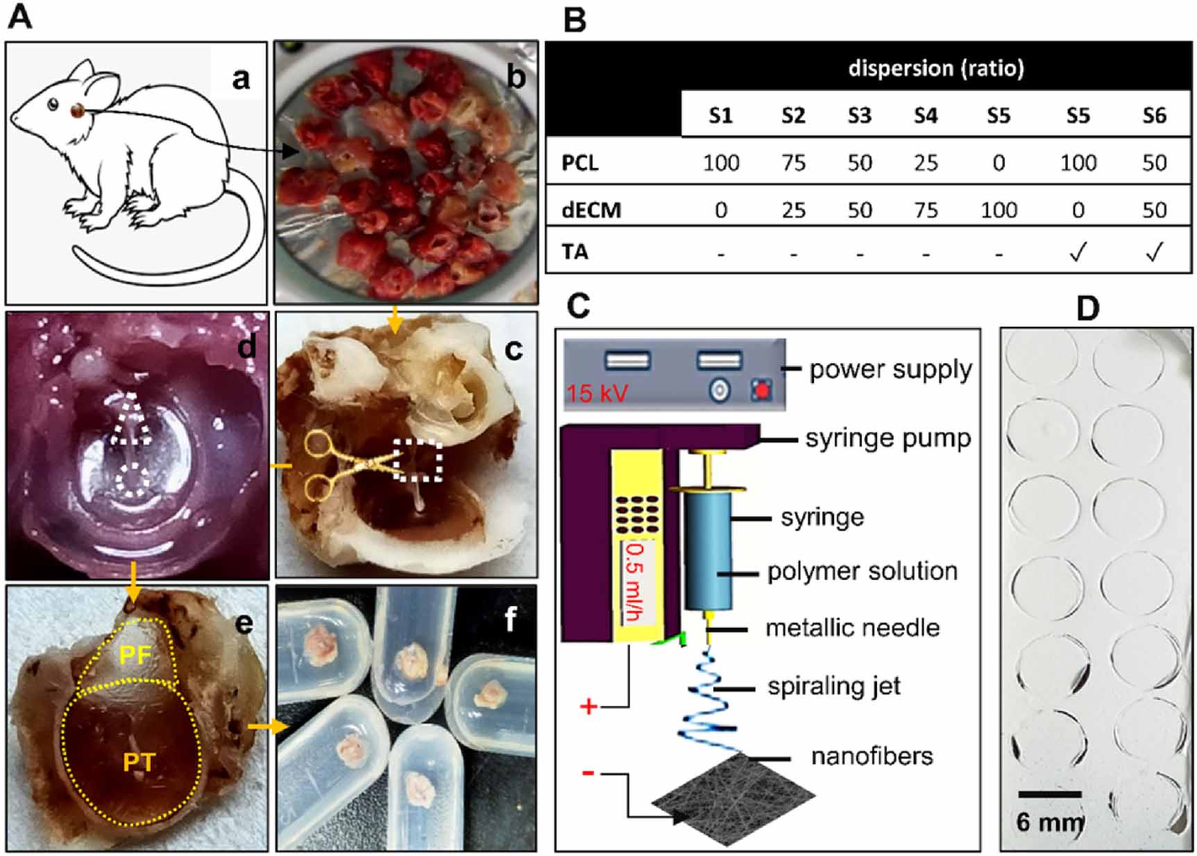 Multifaceted tannin crosslinked bioinspired dECM decorated nanofibers ...