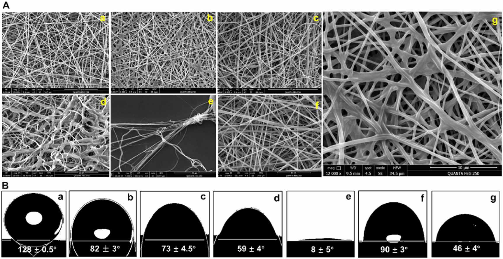Multifaceted tannin crosslinked bioinspired dECM decorated nanofibers ...