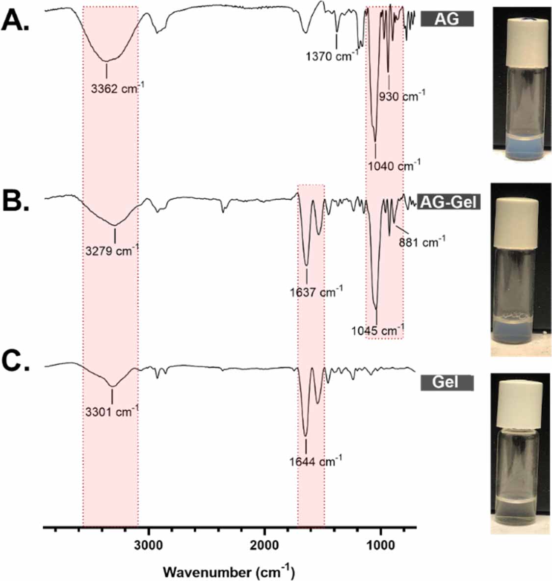 Development of agarose–gelatin bioinks for extrusion-based bioprinting ...