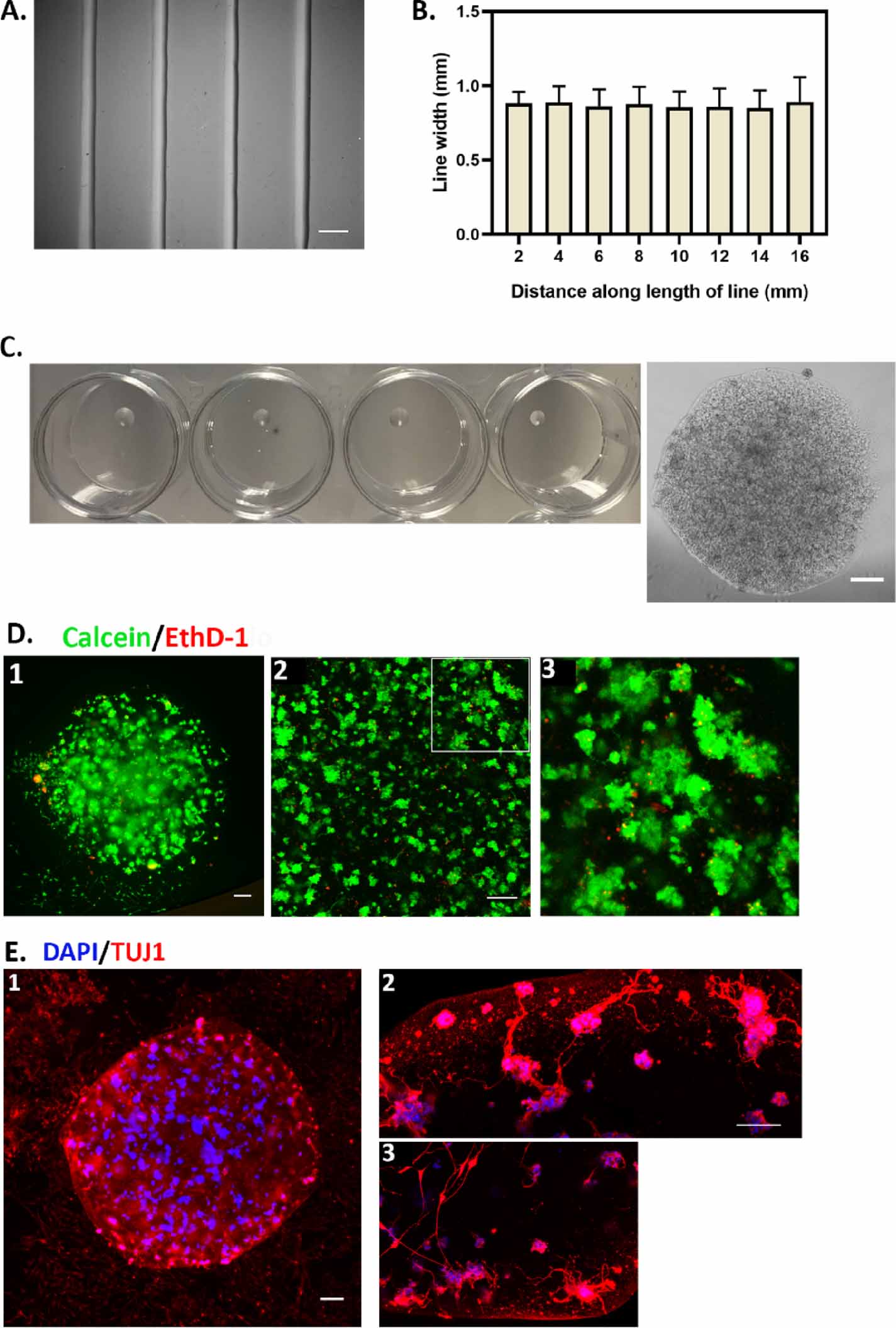 Development of agarose–gelatin bioinks for extrusion-based bioprinting ...