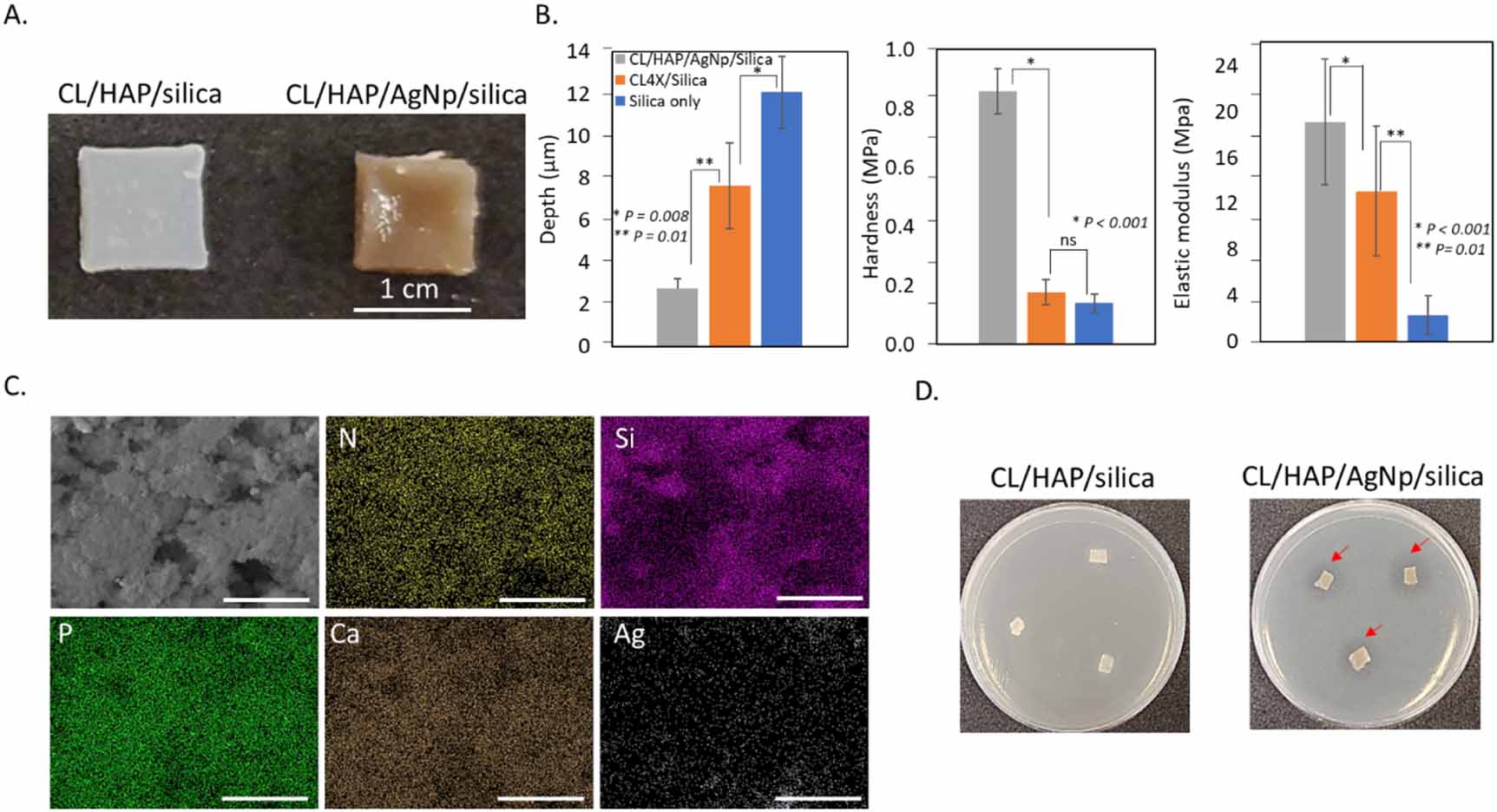 Bacterial collagen-templated synthesis and assembly of inorganic ...