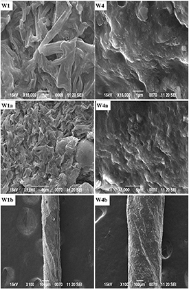 Biomimicking dual drug eluting twisted electrospun nanofiber yarns for ...