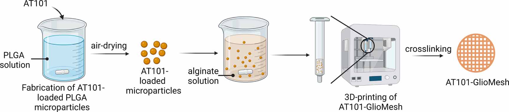 A biopolymeric mesh enriched with PLGA microparticles loaded with AT101 ...
