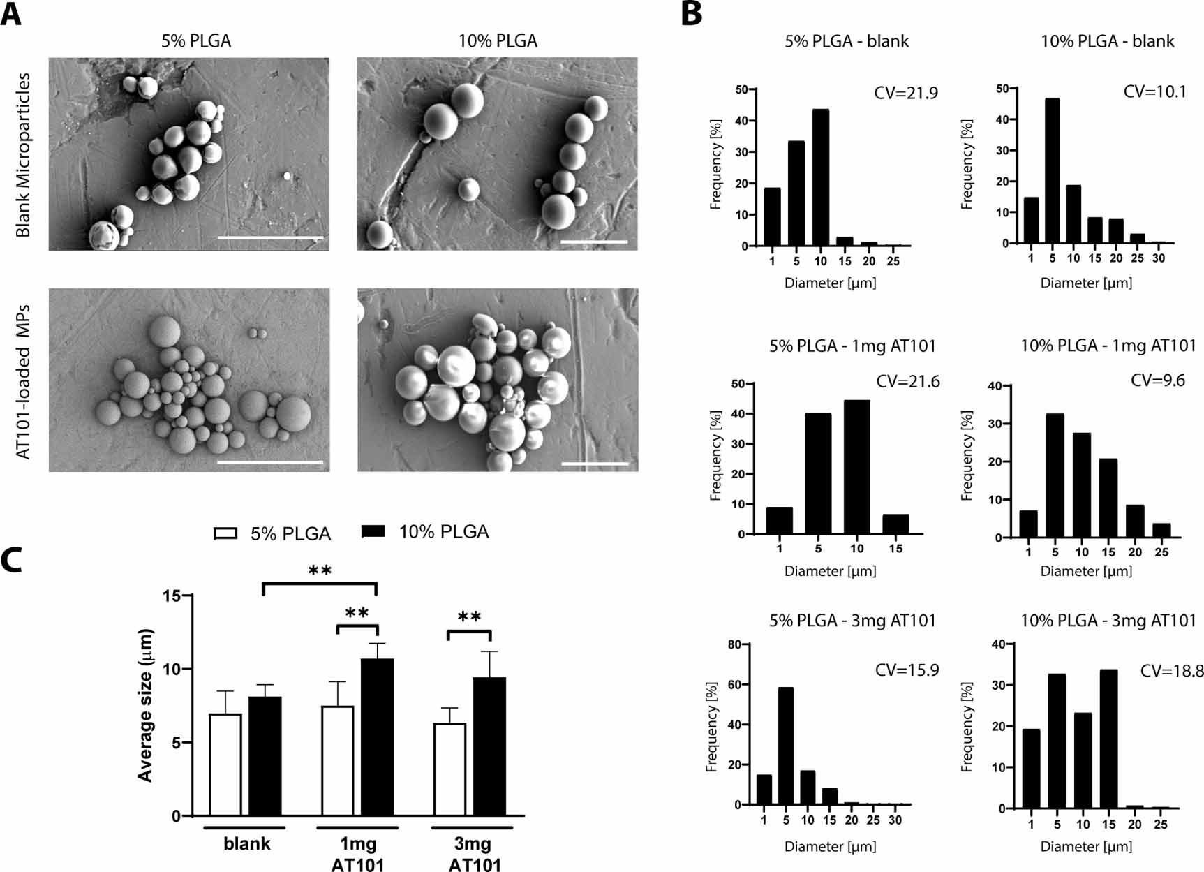 A biopolymeric mesh enriched with PLGA microparticles loaded with AT101 ...