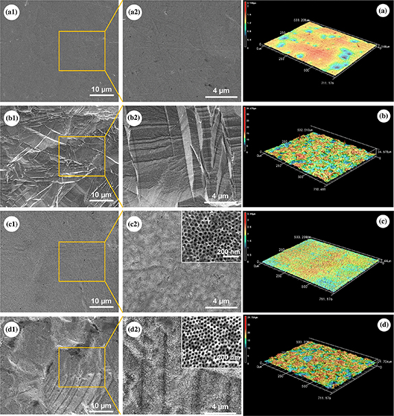 Effects of surface morphology and composition of titanium implants on ...