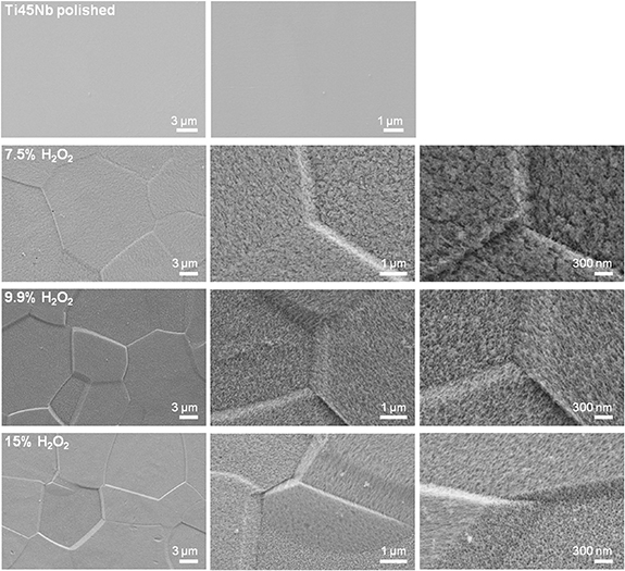 Effects of surface morphology and composition of titanium implants on ...
