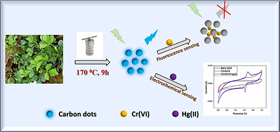 Synthesis, applications and biosafety evaluation of carbon dots derived from herbal medicine ...