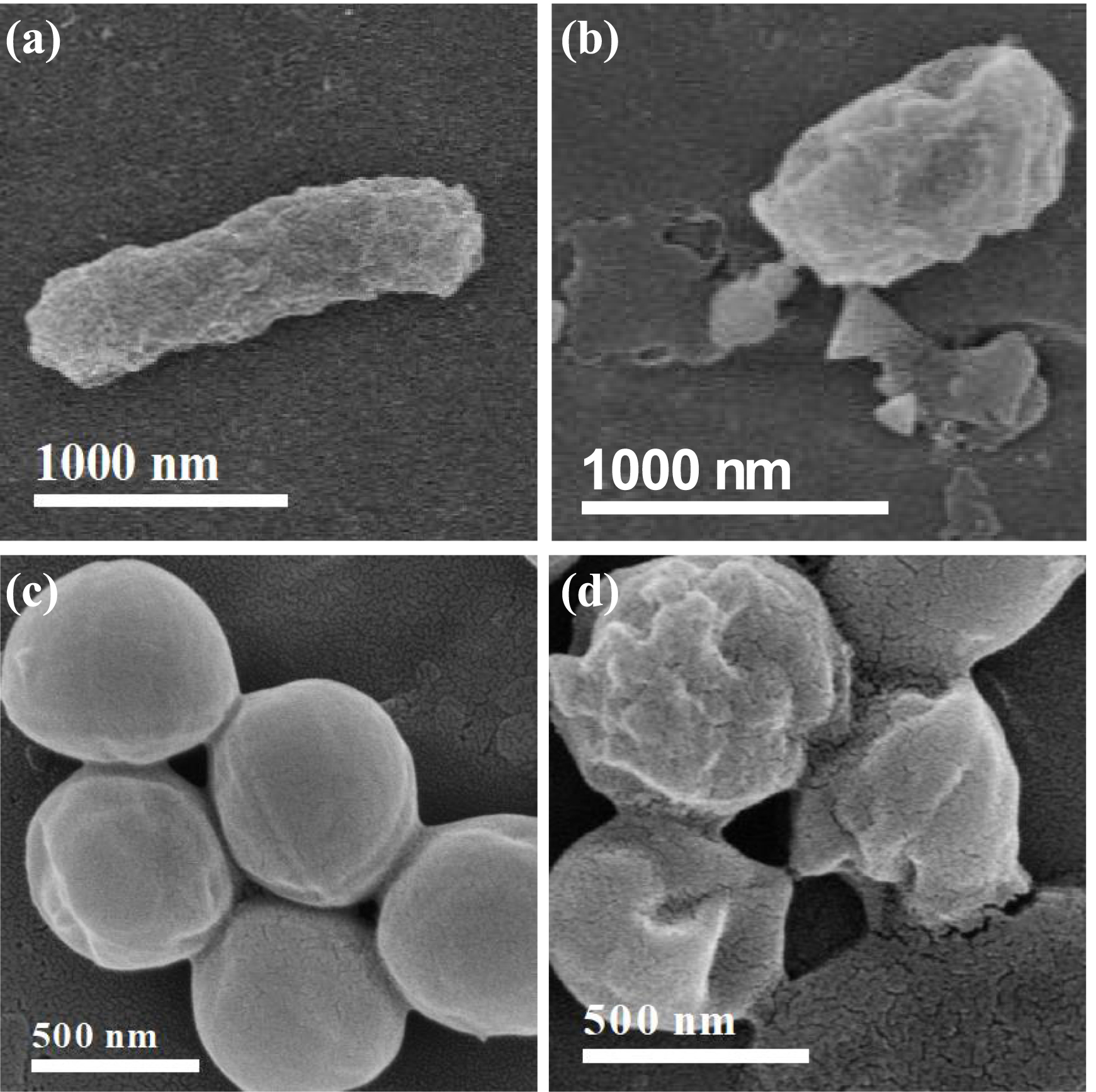 Facile one-precursor and one-pot synthesis of Girard's reagent T-based ...