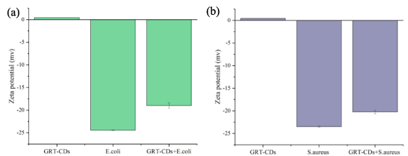 Facile one-precursor and one-pot synthesis of Girard's reagent T-based ...