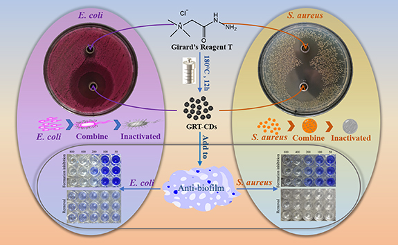 Facile one-precursor and one-pot synthesis of Girard's reagent T-based ...