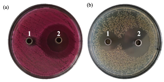 Facile one-precursor and one-pot synthesis of Girard's reagent T-based ...