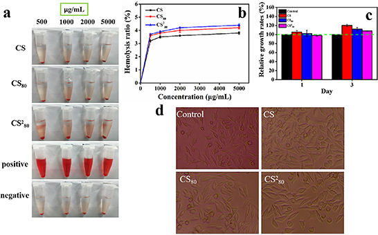 Corrigendum: One-step fabrication of chitosan sponge and its potential ...