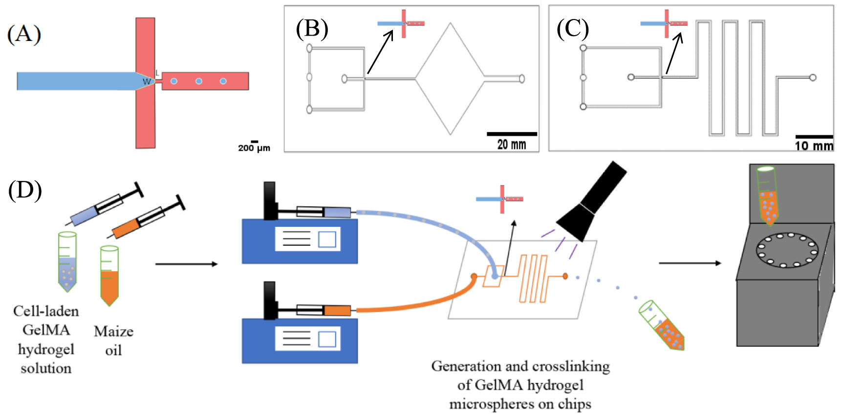 Generation of cell-laden GelMA microspheres using microfluidic chip and ...