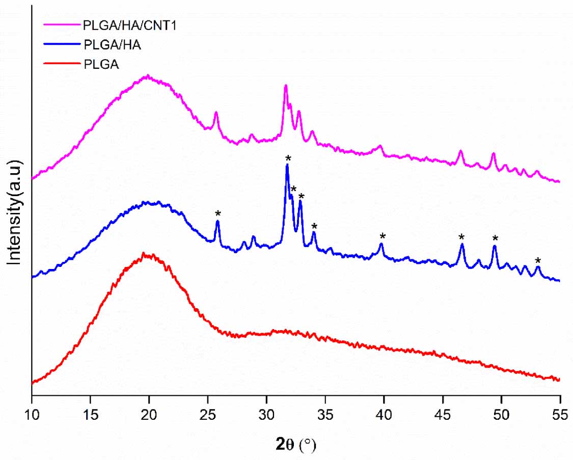 CNT incorporation improves the resolution and stability of porous 3D ...