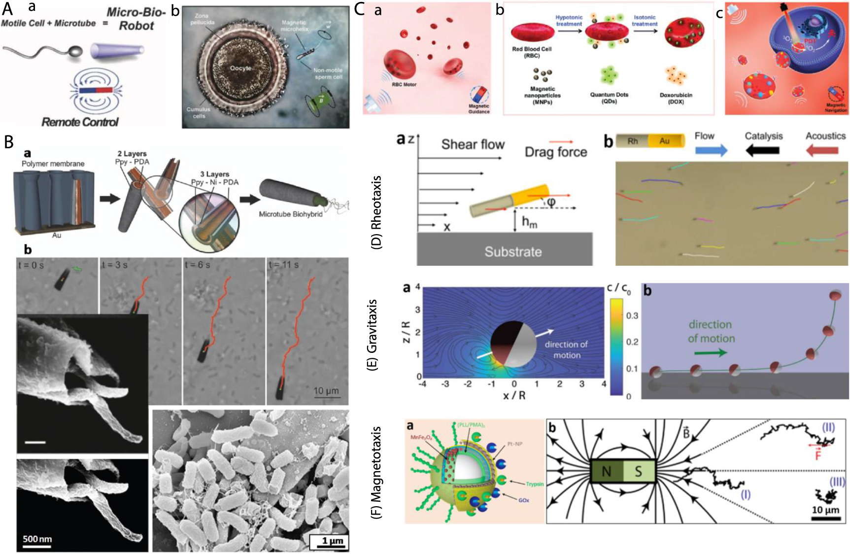 Strategies in design of self-propelling hybrid micro/nanobots for ...