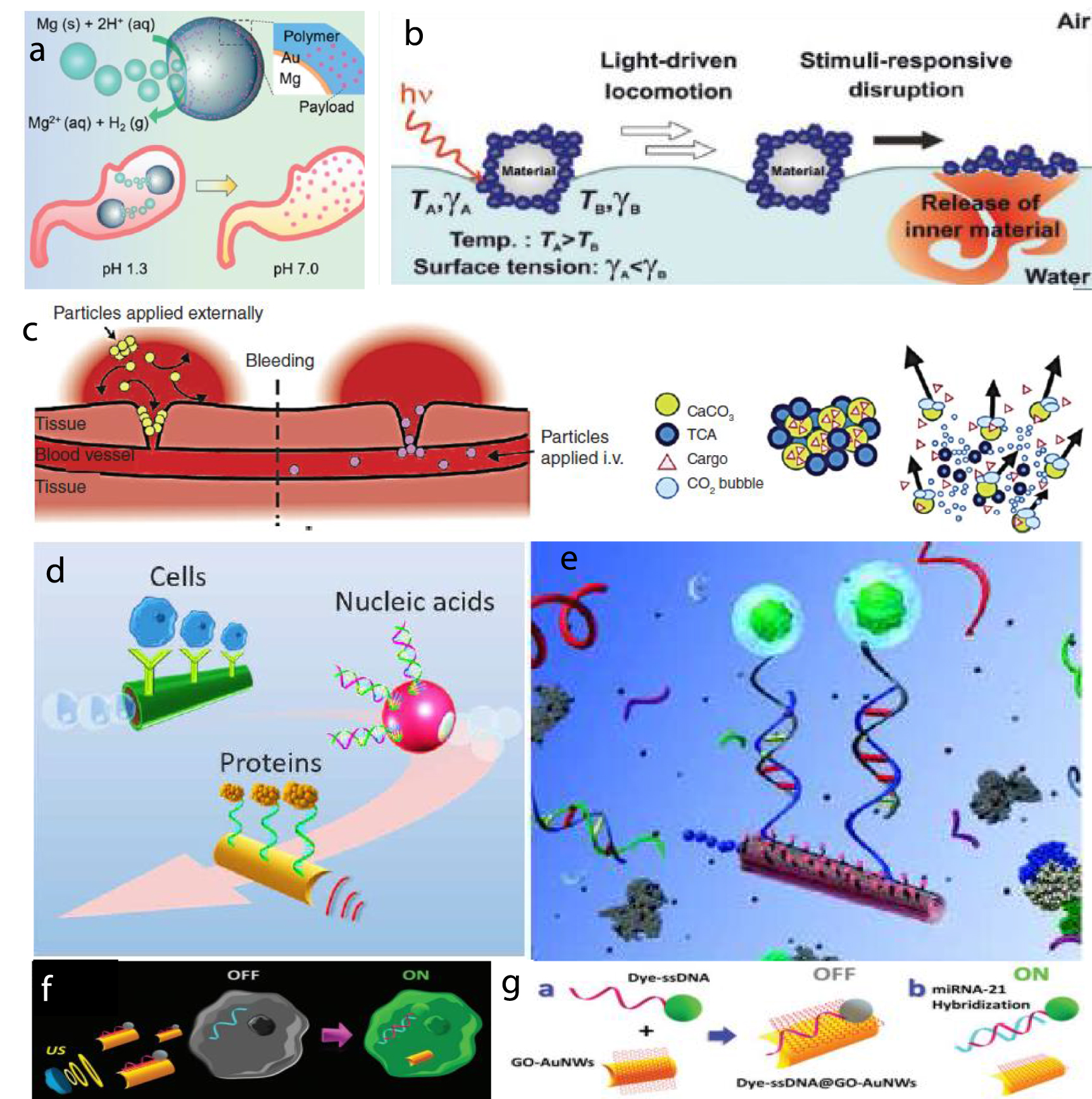 Strategies in design of self-propelling hybrid micro/nanobots for ...
