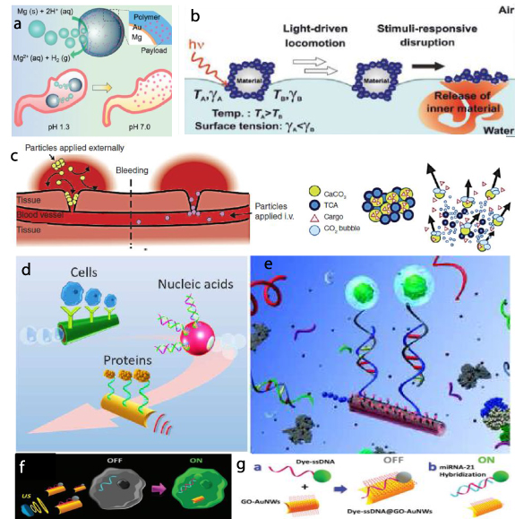 Strategies in design of self-propelling hybrid micro/nanobots for ...