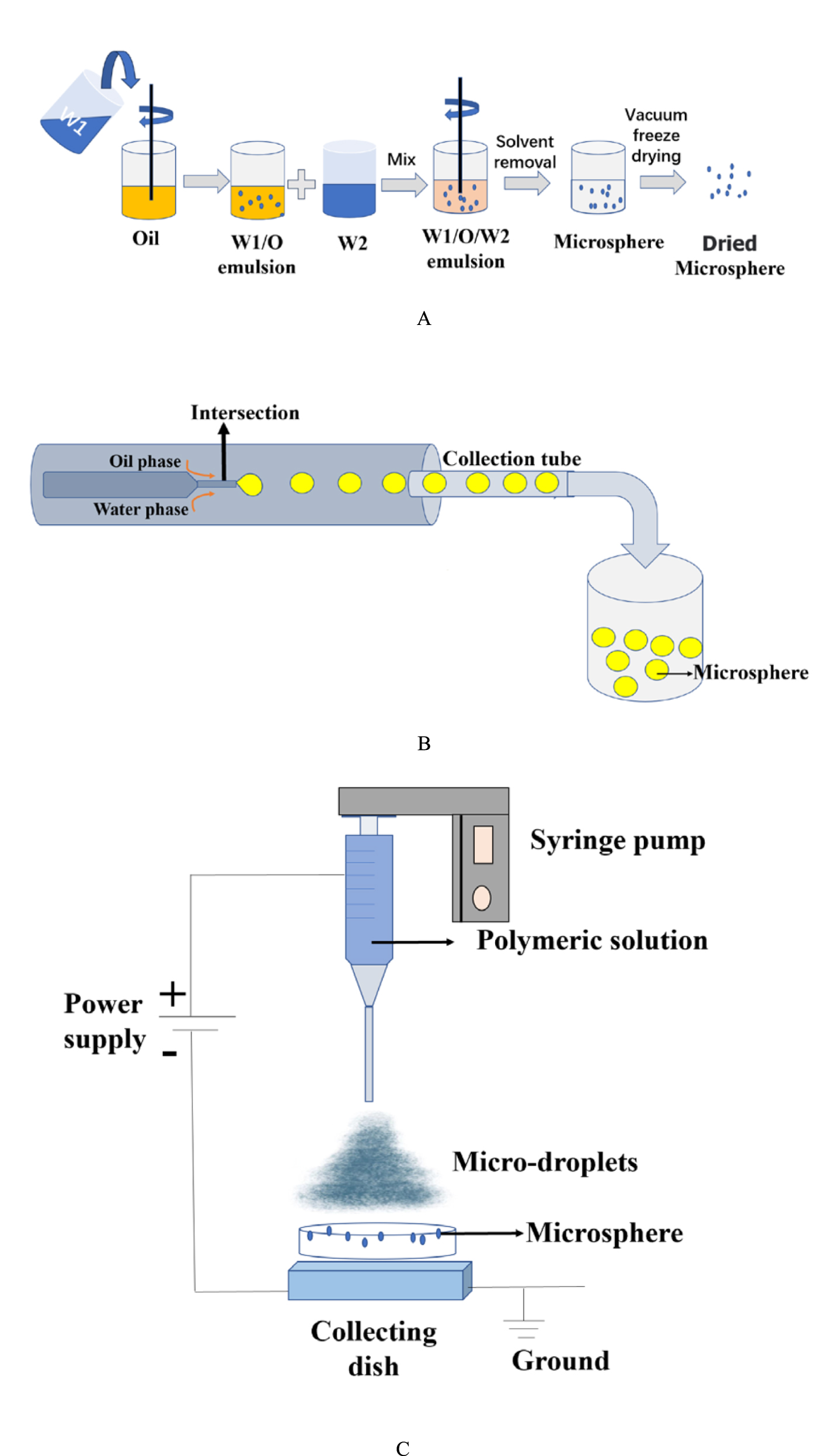 Progress in microsphere-based scaffolds in bone/cartilage tissue engineering - IOPscience