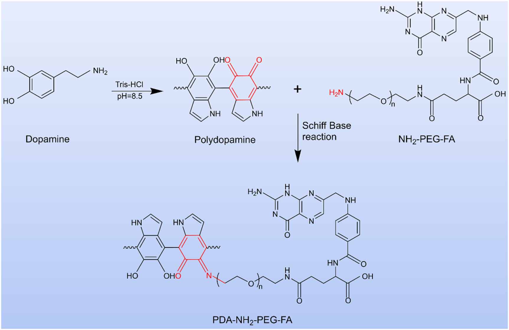 CeO2@CuS@PDA-FA as targeted near-infrared PTT/CDT therapeutic agents ...