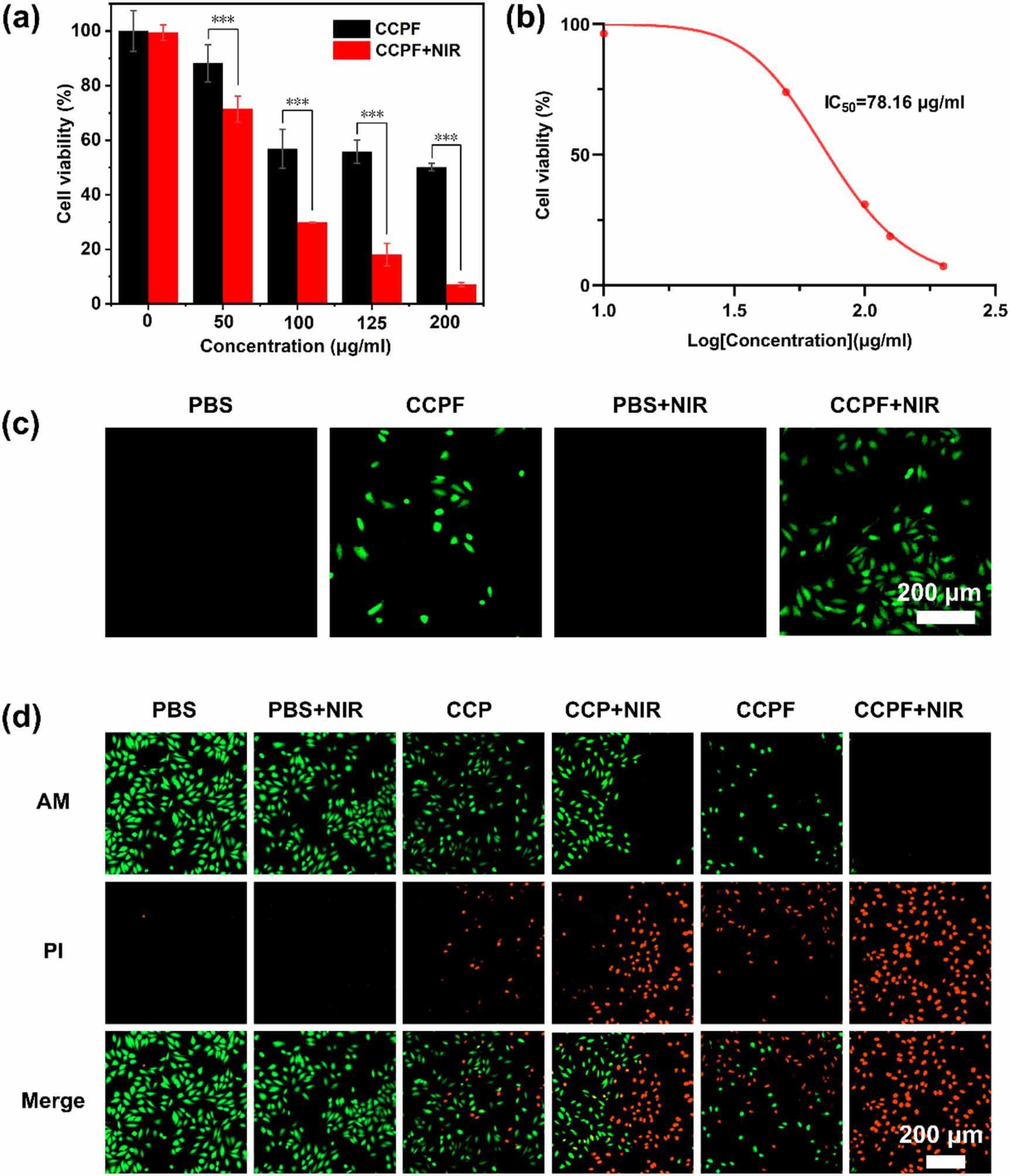 CeO2@CuS@PDA-FA as targeted near-infrared PTT/CDT therapeutic agents ...