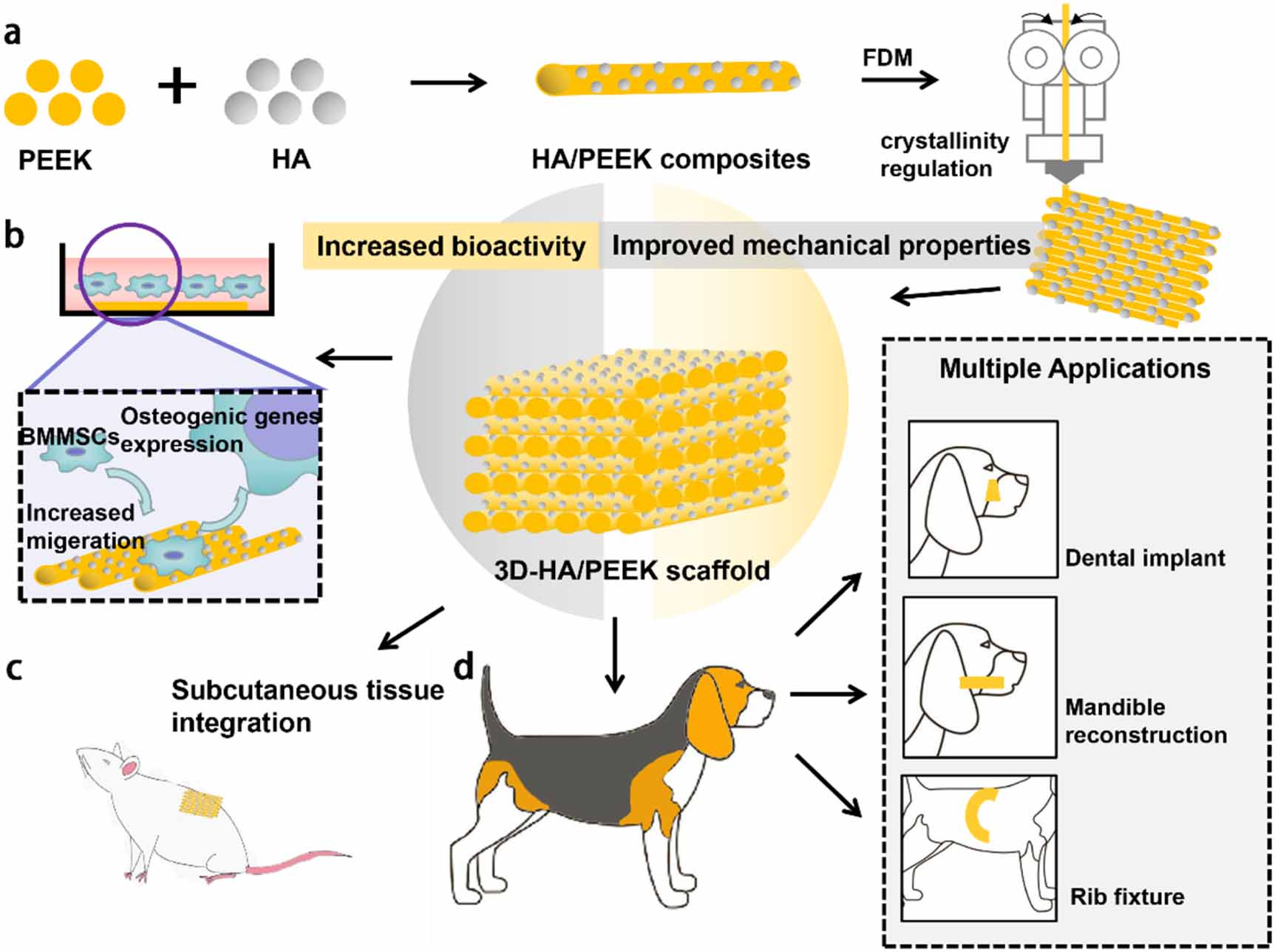 An HA/PEEK scaffold with modified crystallinity via 3D-bioprinting for ...