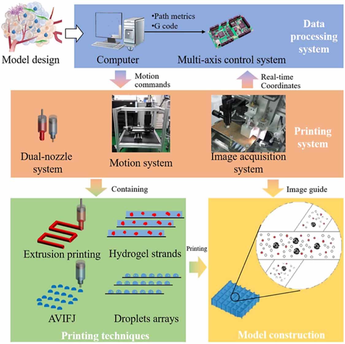 Application of 3D printing technology in tumor diagnosis and treatment ...