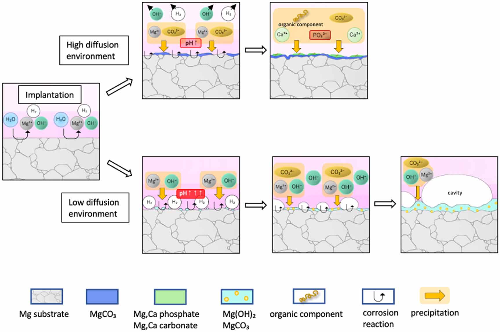 In vitro analysis of insoluble salt formation mechanism associated with ...