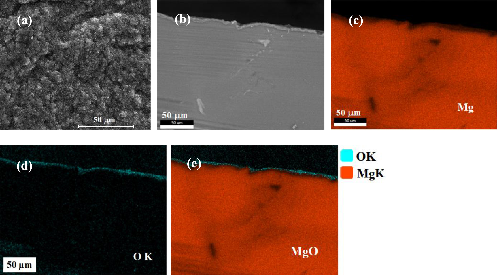 Ce-doped MgO films on AZ31 alloy substrate for biomedical applications ...