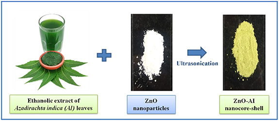 Azadirachta indica (AI) leaf extract coated ZnO-AI nanocore–shell ...