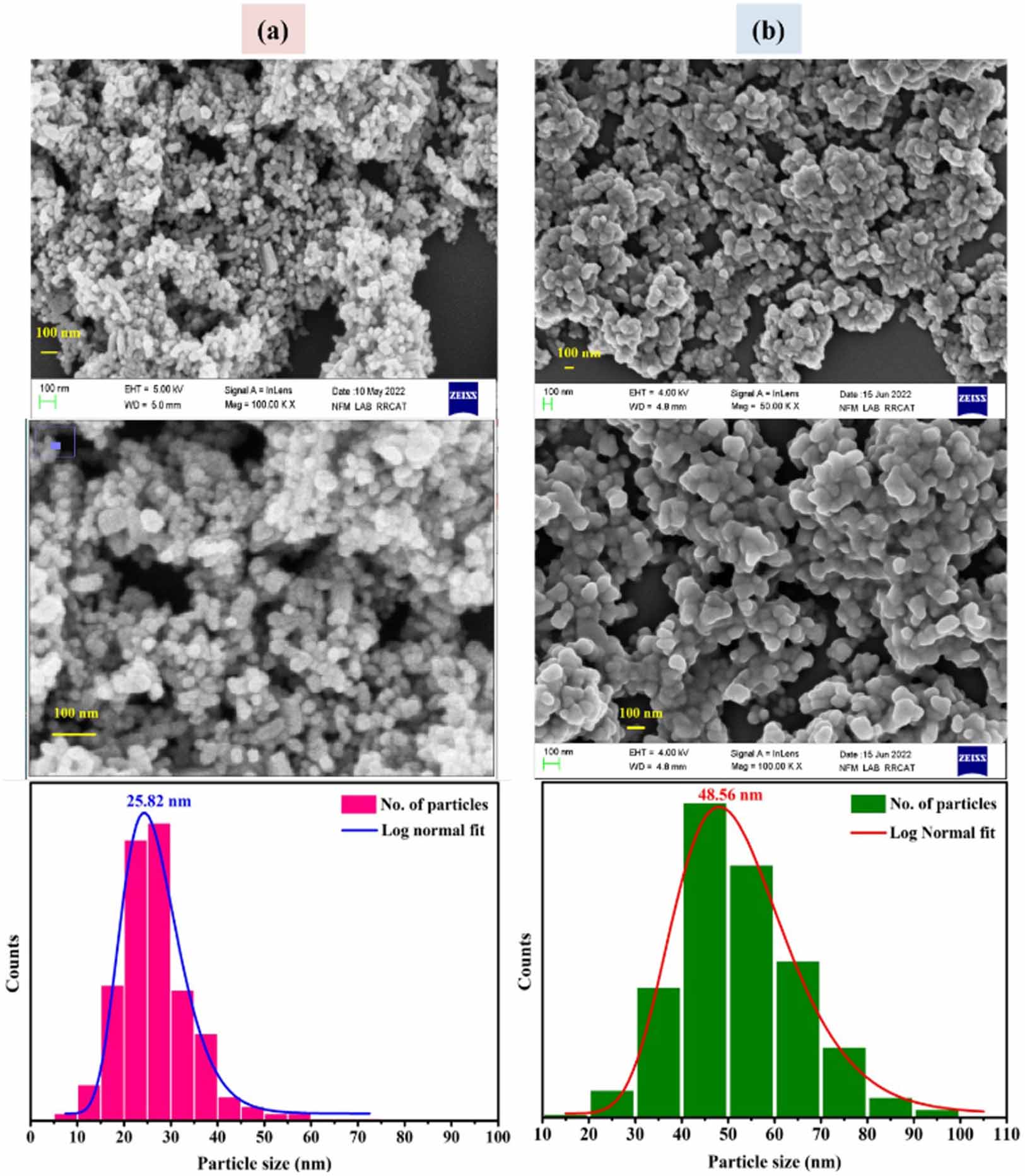 Azadirachta indica (AI) leaf extract coated ZnO-AI nanocore–shell ...