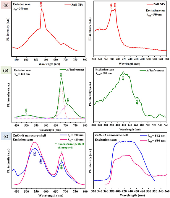 Azadirachta indica (AI) leaf extract coated ZnO-AI nanocore–shell ...