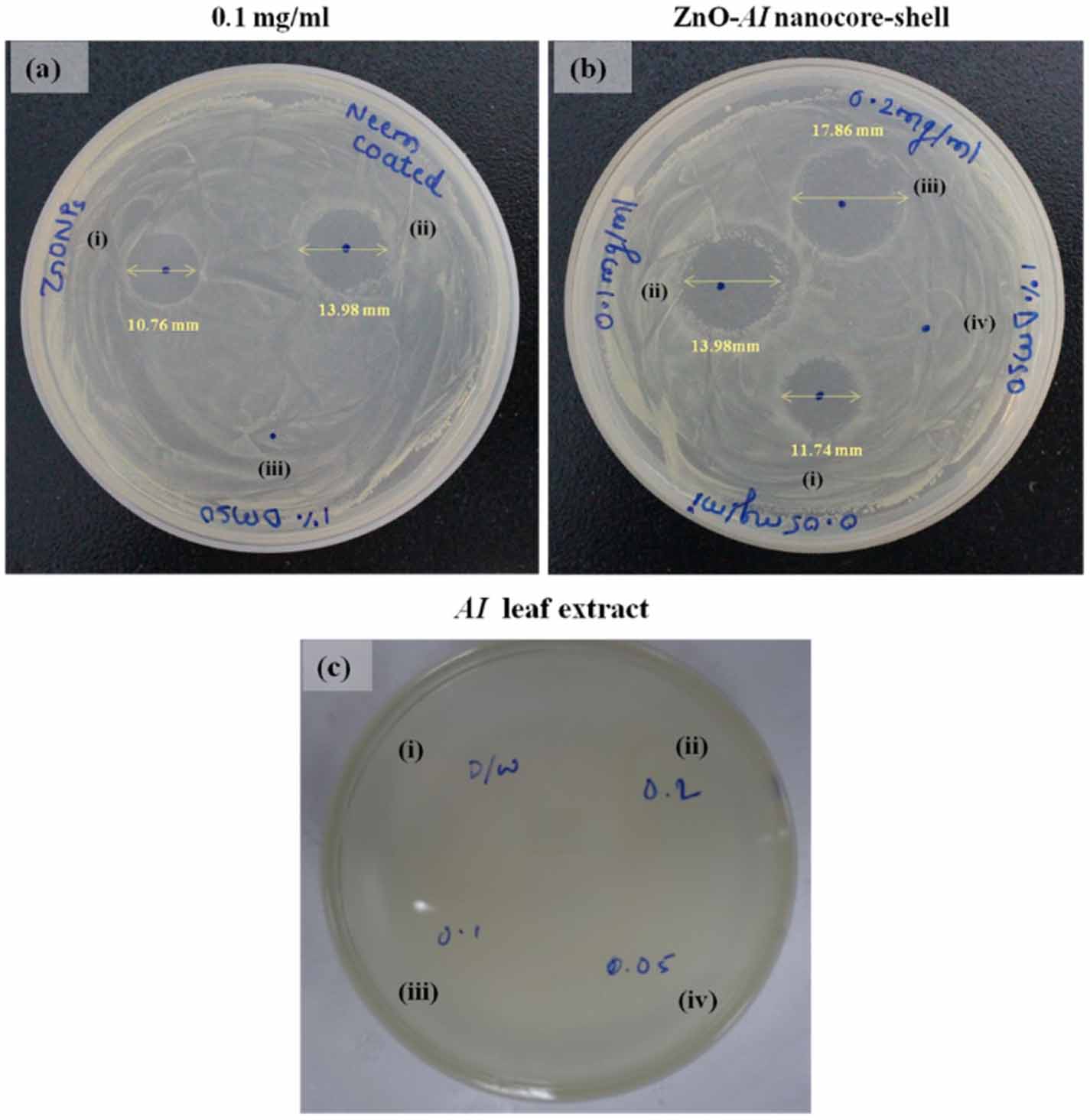 Azadirachta indica (AI) leaf extract coated ZnO-AI nanocore–shell ...