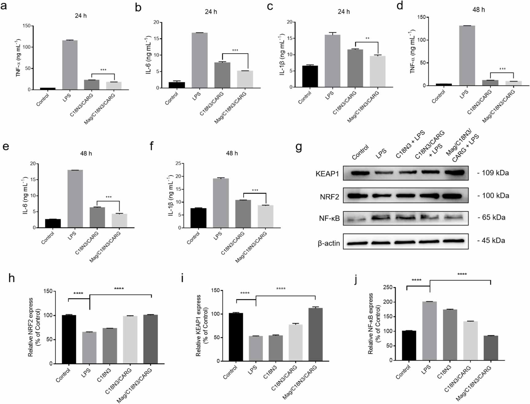 Bacteria-targeted magnolol-loaded multifunctional nanocomplexes for ...