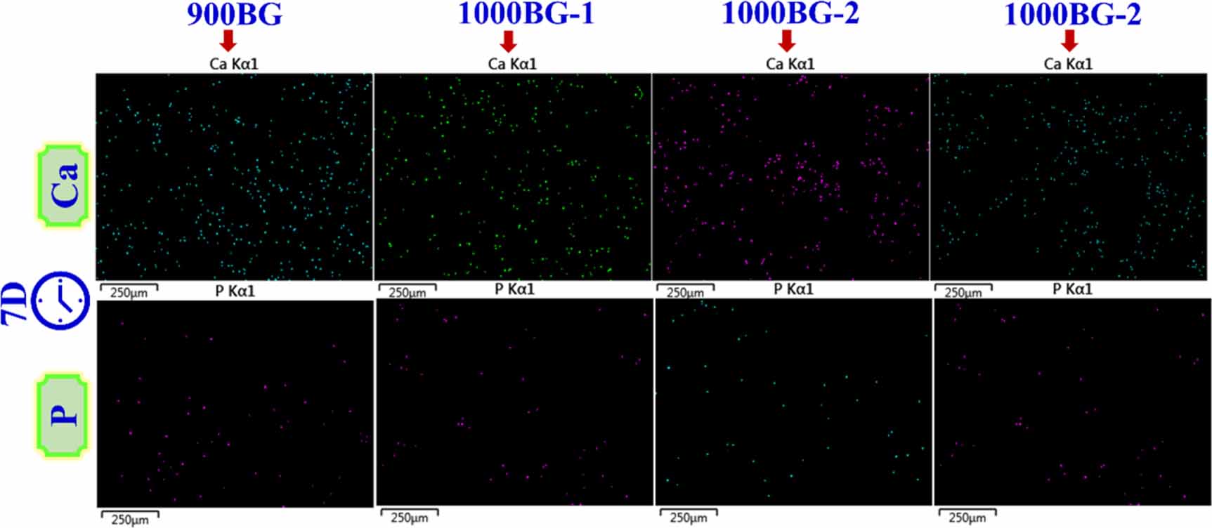 Devitrite (Na2Ca3Si6O16) phase dominated nanostructured 45S5 bioactive ...