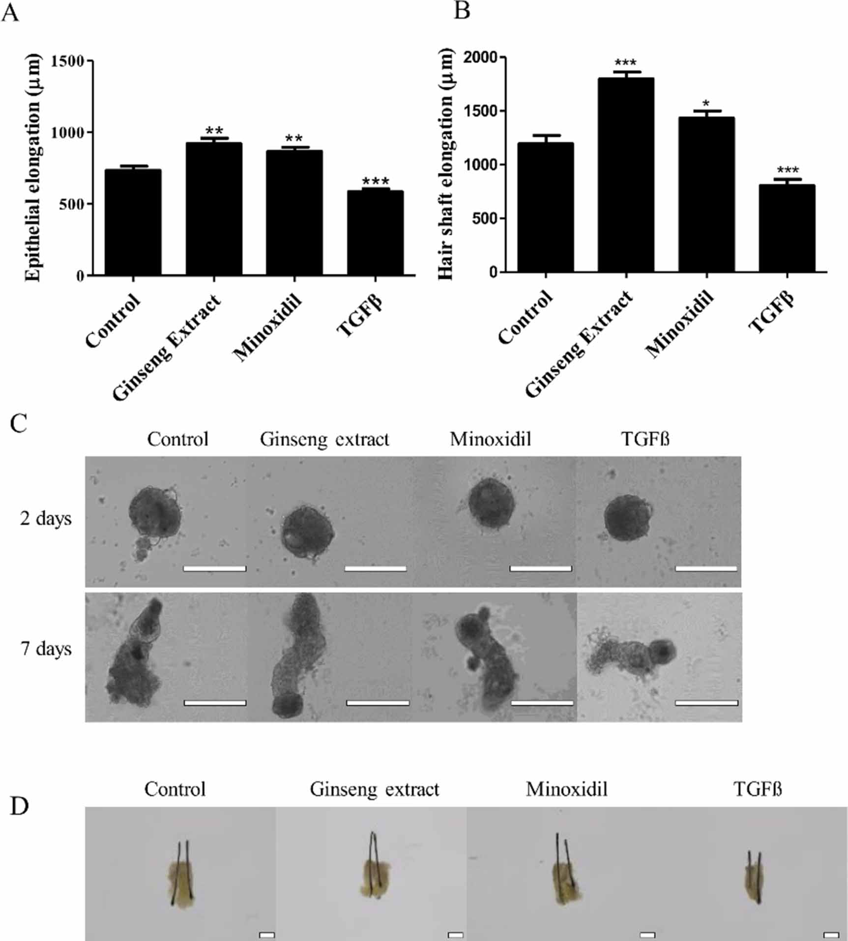 The development of an in vitro human hair follicle organoid with a ...