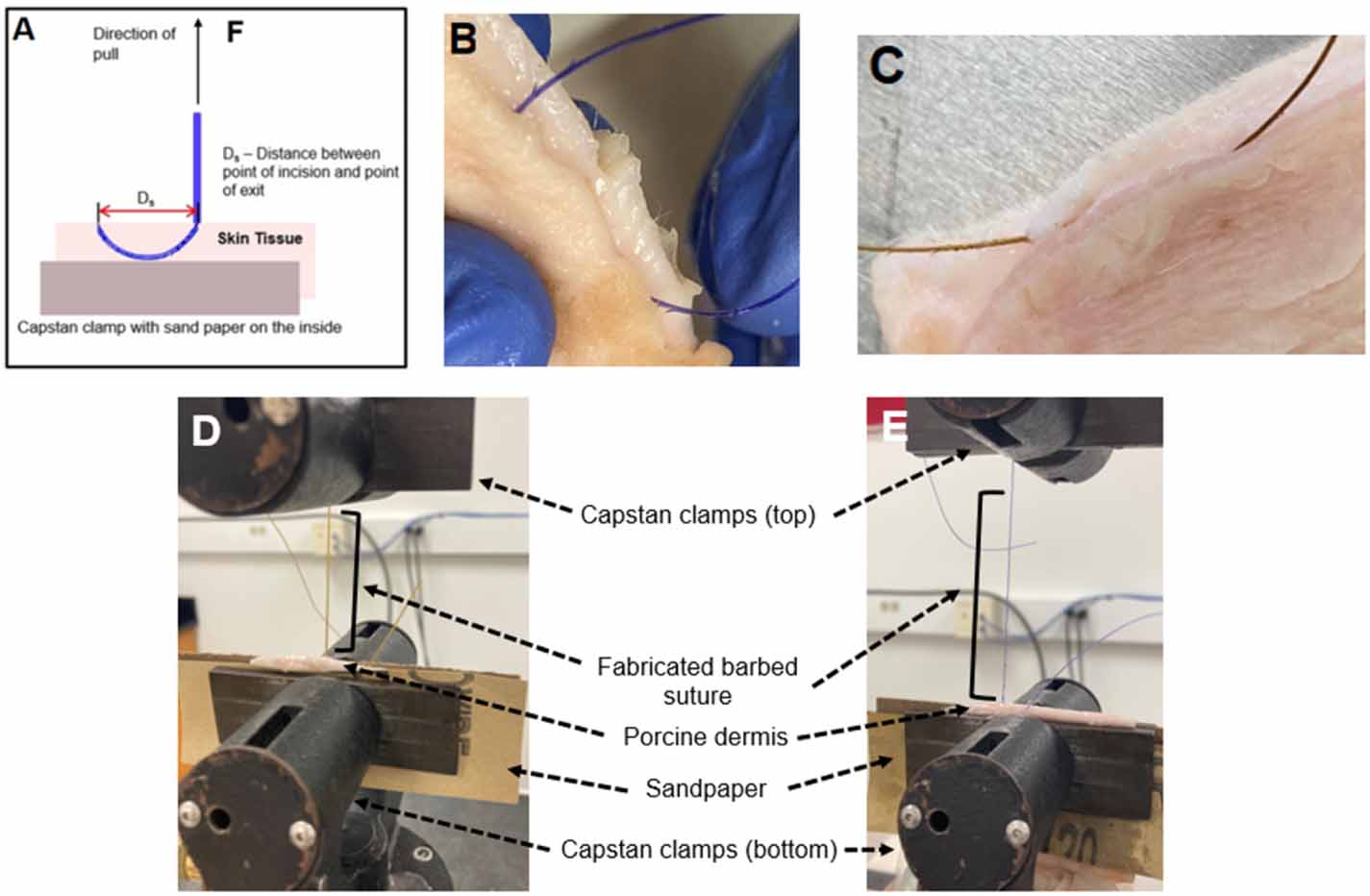 Mechanical fabrication and evaluation of bioresorbable barbed sutures ...