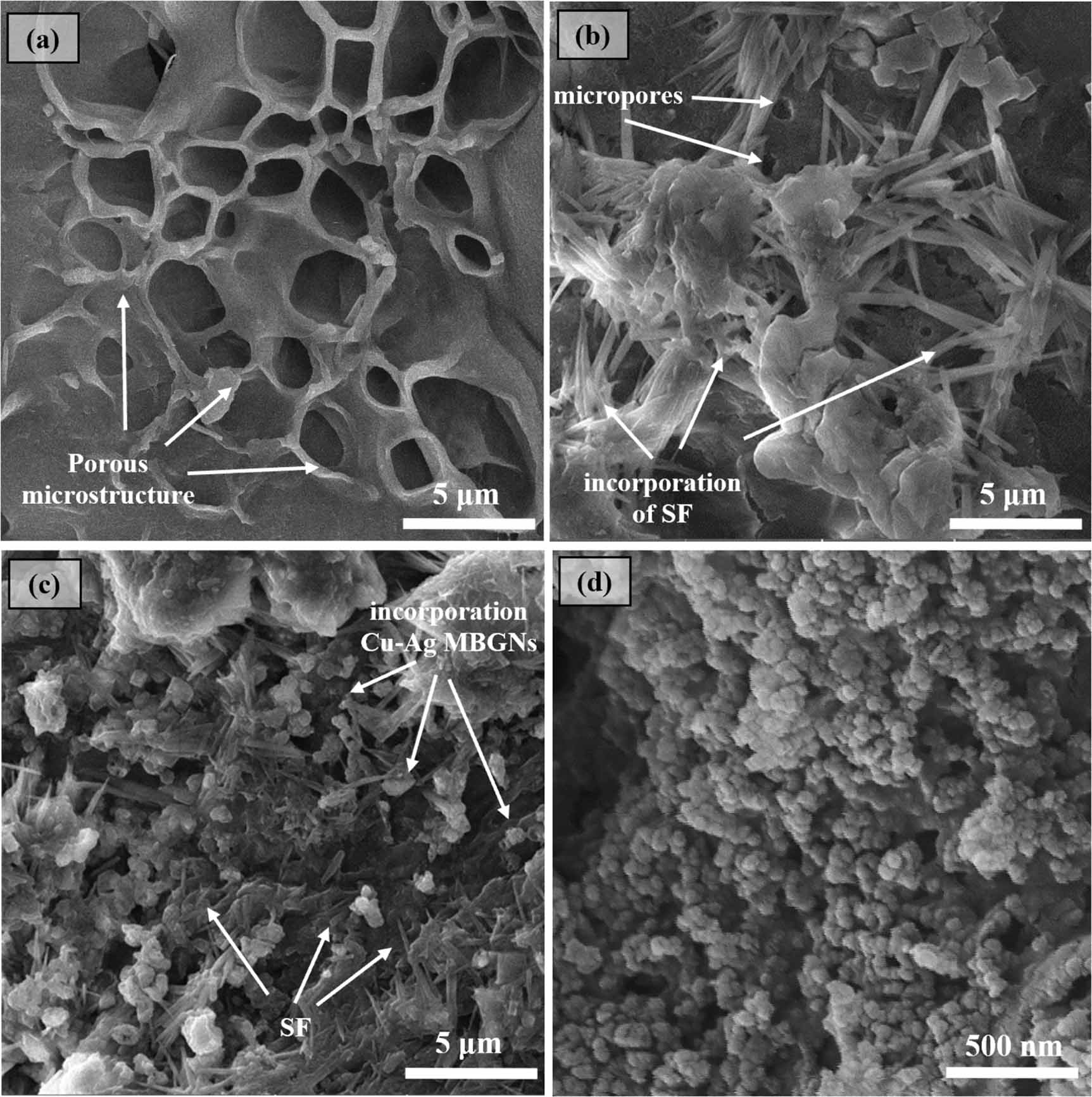 Oxidized alginate-gelatin (ADA-GEL)/silk fibroin/Cu-Ag doped mesoporous ...