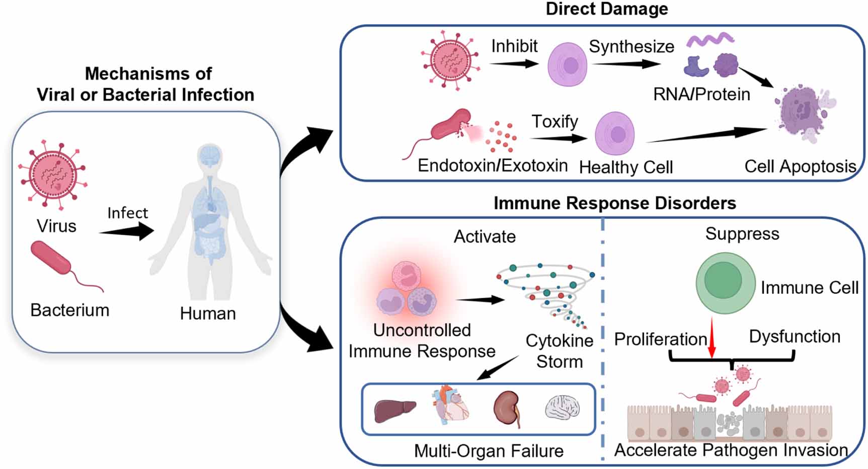 Macrophage membrane-coated nanoparticles for the treatment of ...