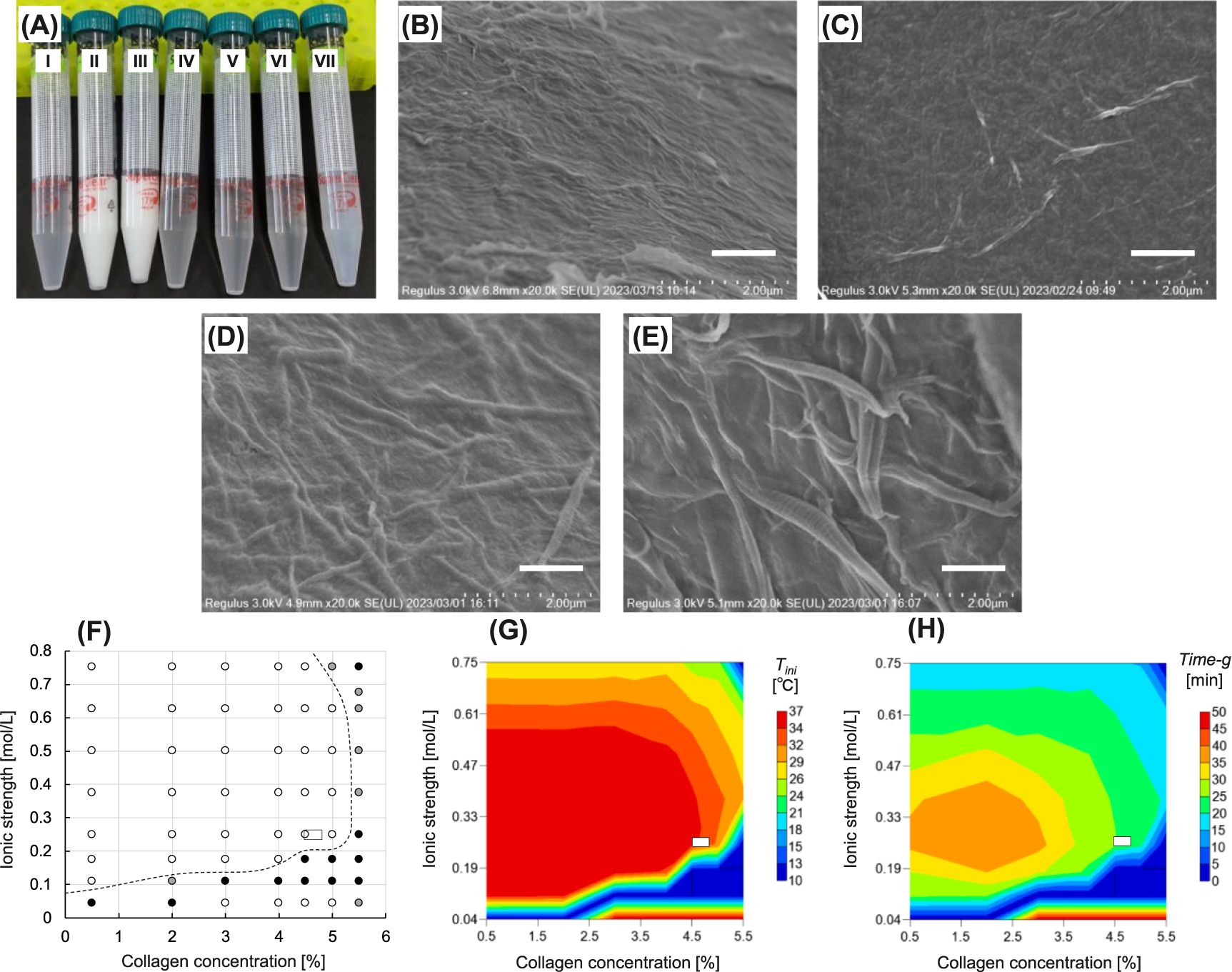 High-speed spinning of collagen microfibers comprising aligned fibrils ...