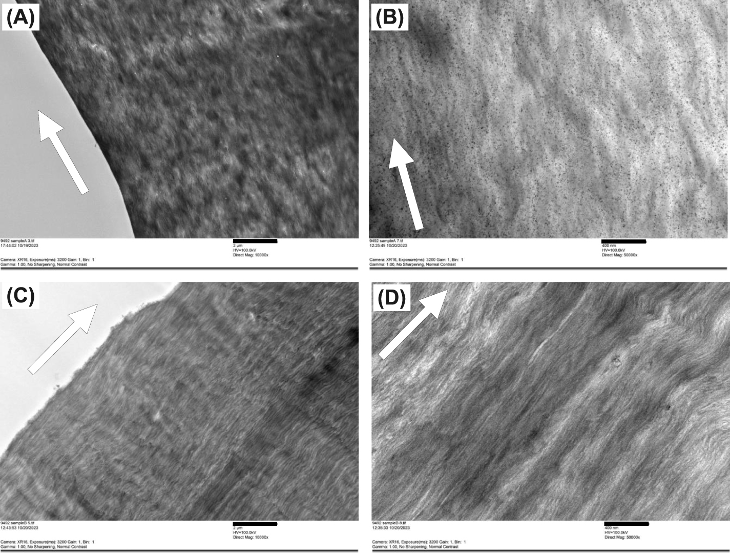 High-speed spinning of collagen microfibers comprising aligned fibrils ...