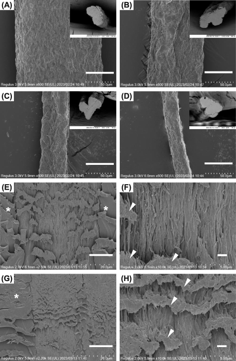 High-speed spinning of collagen microfibers comprising aligned fibrils ...