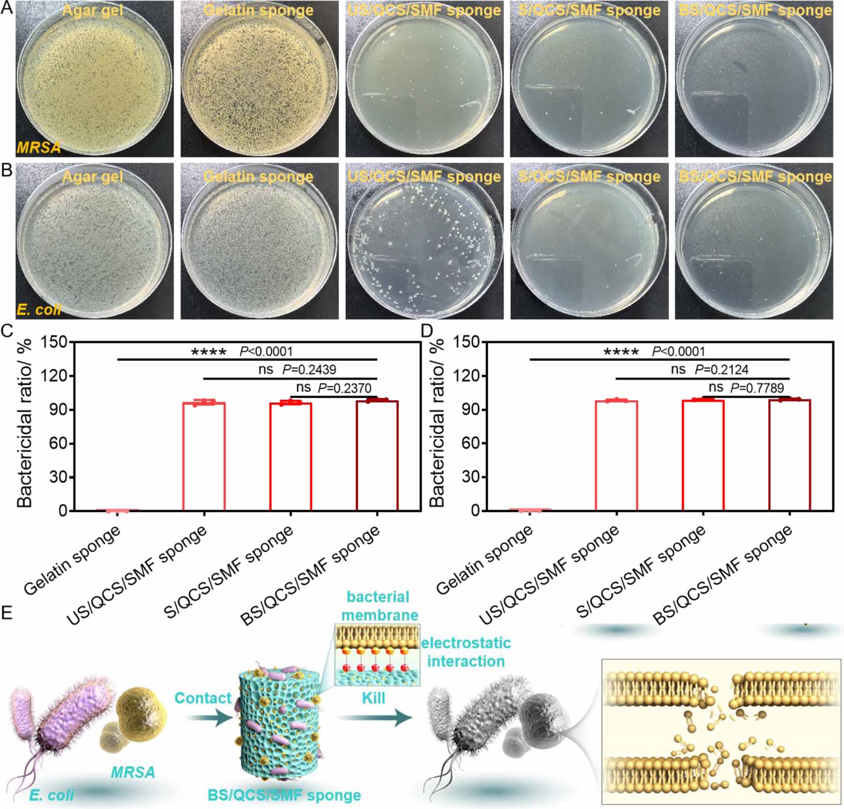 A macroporous composite sponge with high water absorbency and active ...