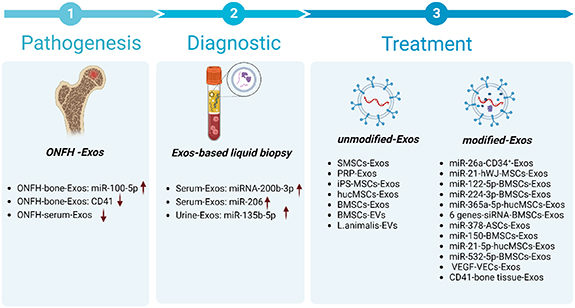 Exploring of exosomes in pathogenesis, diagnosis and therapeutic of ...