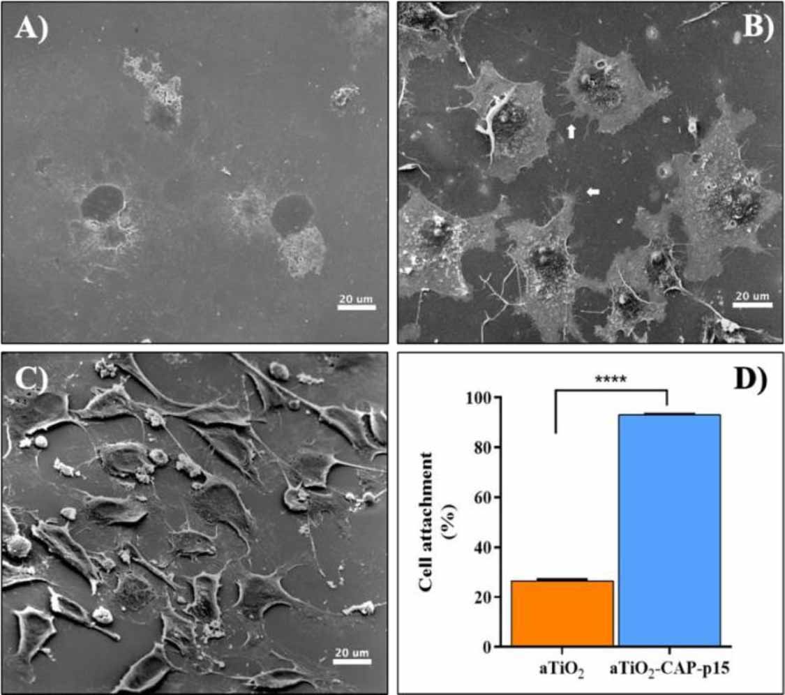 Amorphous titanium oxide (aTiO2) thin films biofunctionalized with CAP ...